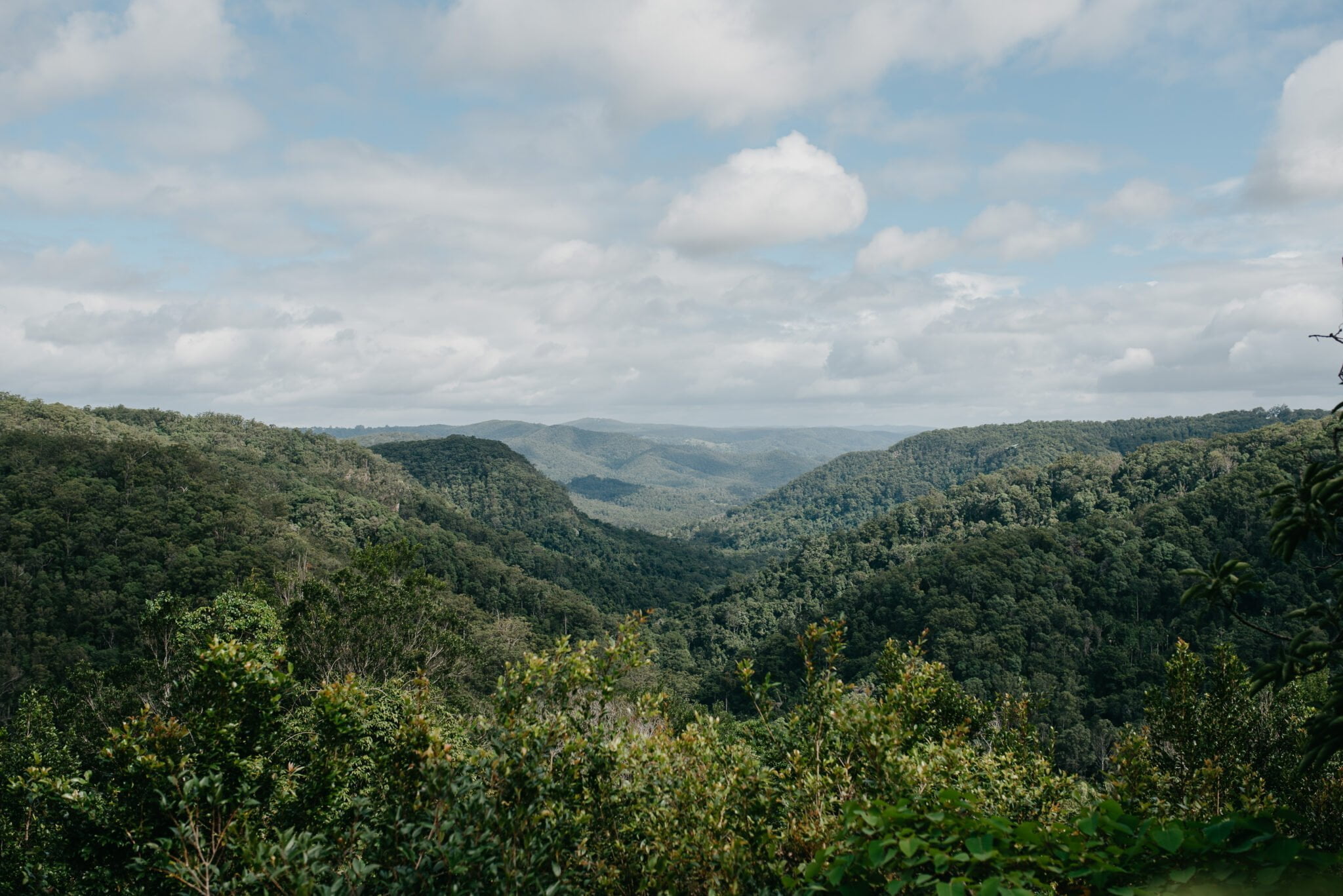 ELLIE & DANE'S QUEENSLAND WEDDING - Hello May