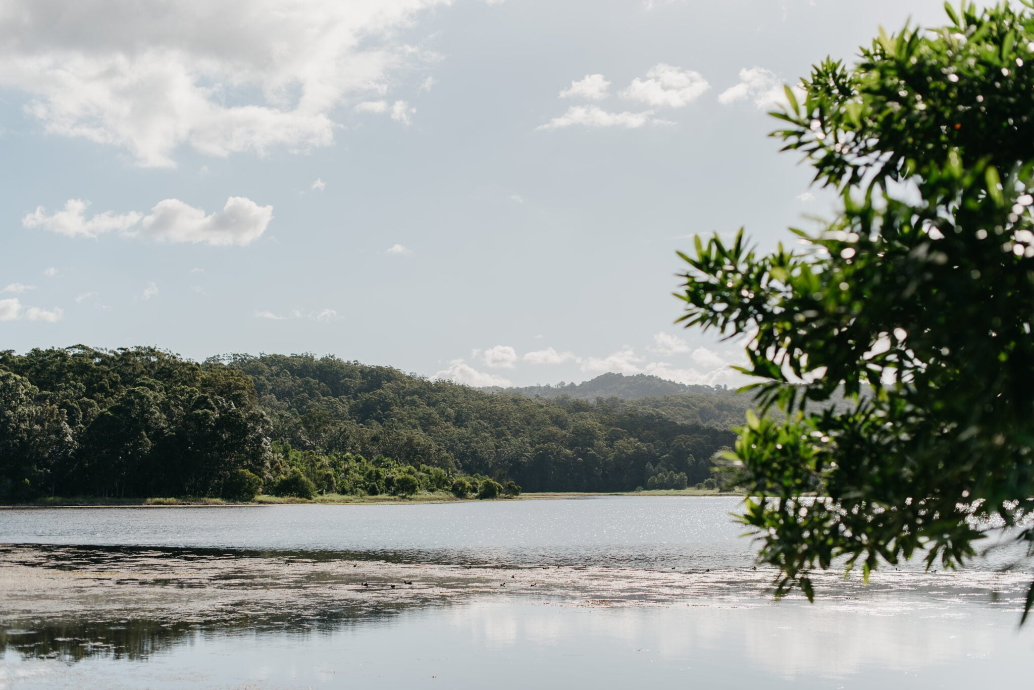 ELLIE & DANE'S QUEENSLAND WEDDING - Hello May