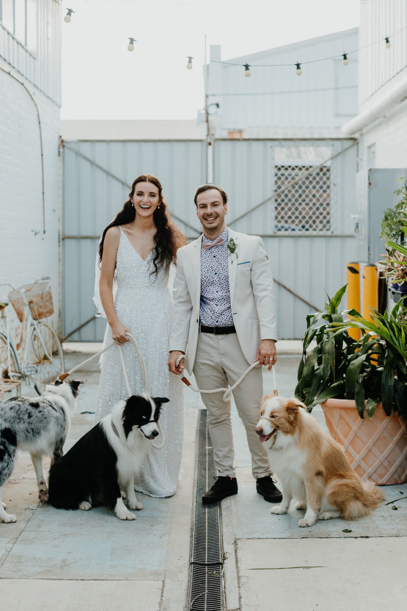 30 Fave Pets at Weddings - Hello May