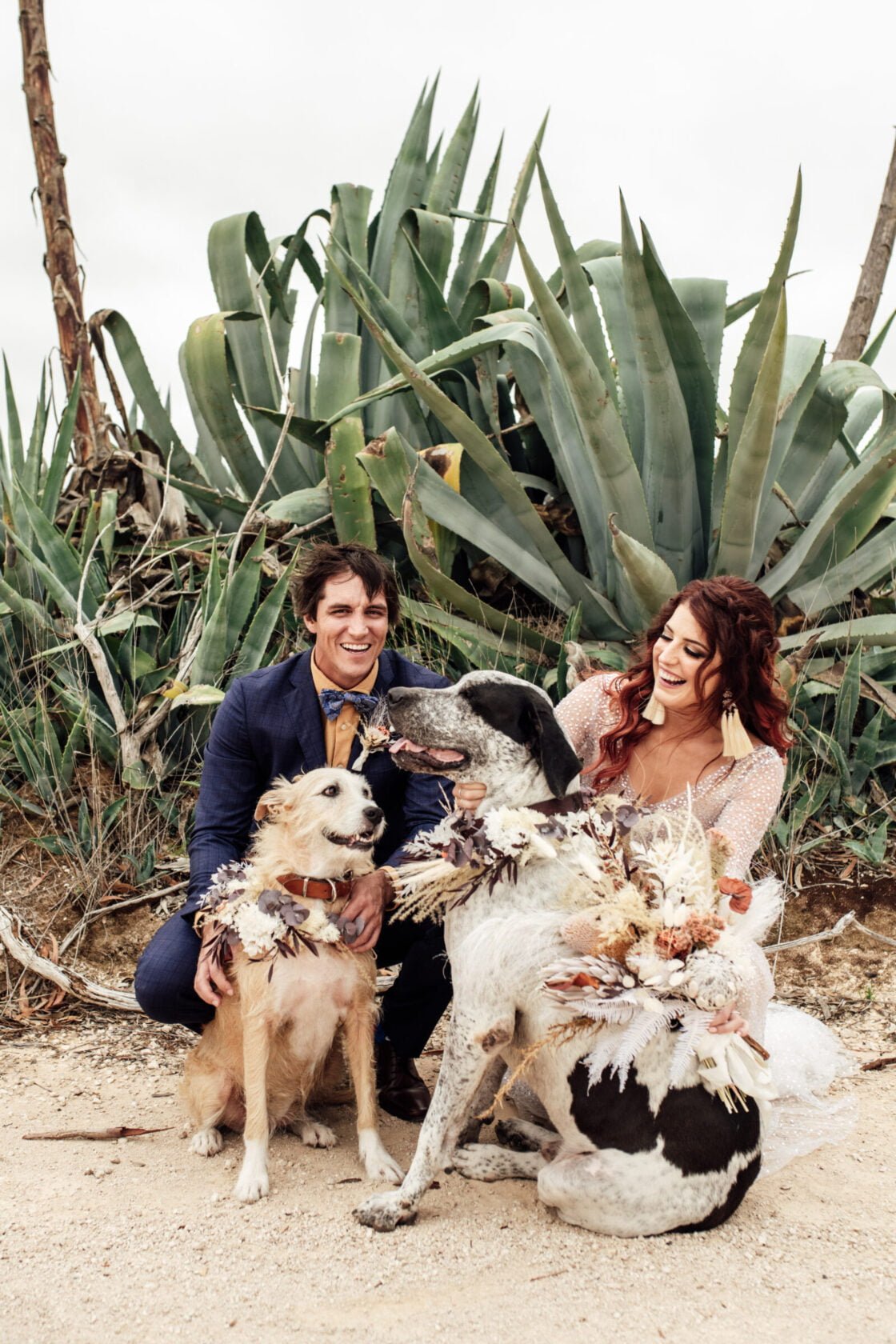 30 Fave Pets at Weddings - Hello May