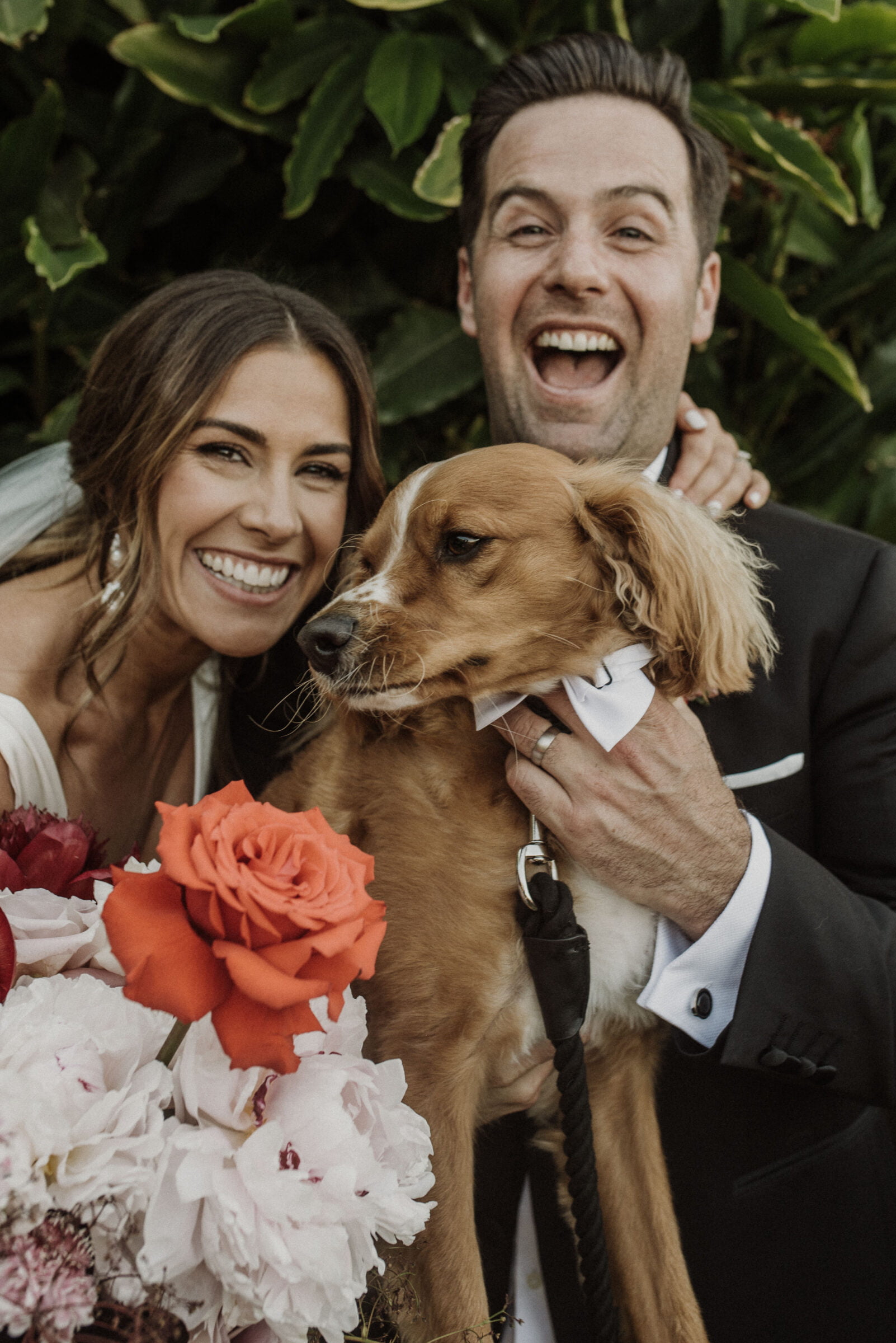 PETS AT WEDDINGS - Hello May