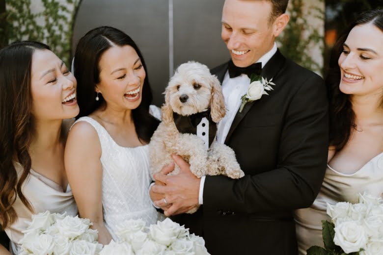 Cute Pets at Weddings: 23 Adorable Ideas - Hello May
