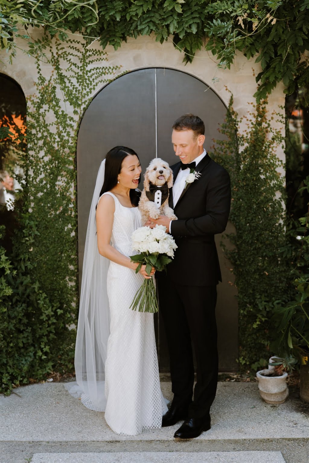 Cute Pets at Weddings: 23 Adorable Ideas - Hello May