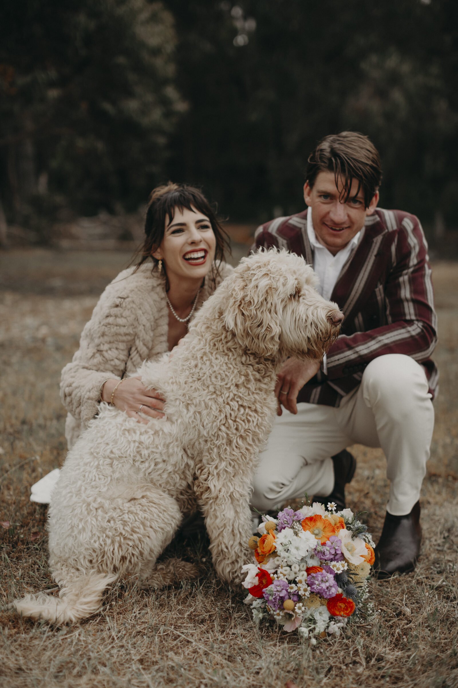 Cute Pets at Weddings: 23 Adorable Ideas - Hello May