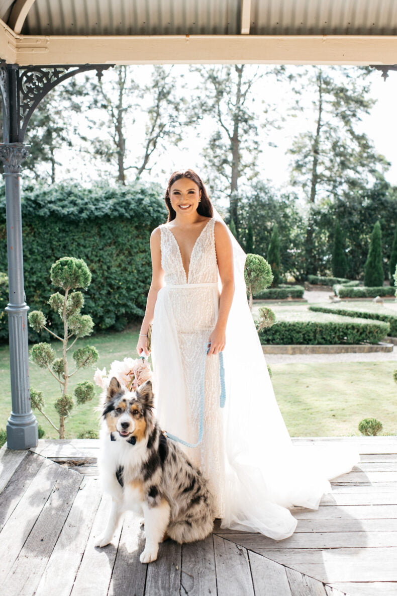 Cute Pets at Weddings: 23 Adorable Ideas - Hello May