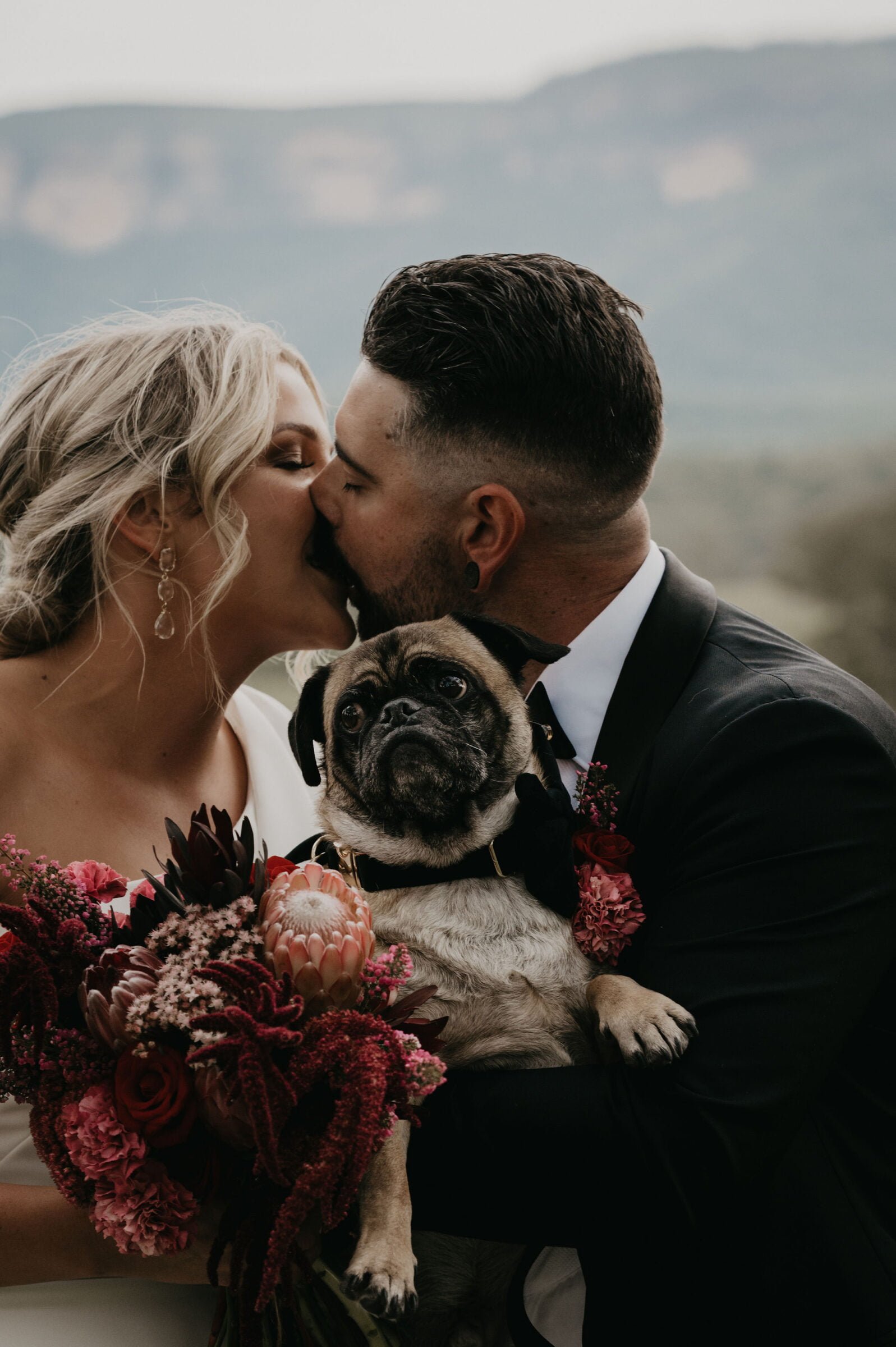 THE CUTEST PETS AT WEDDINGS YOU EVER DID SEE - Hello May
