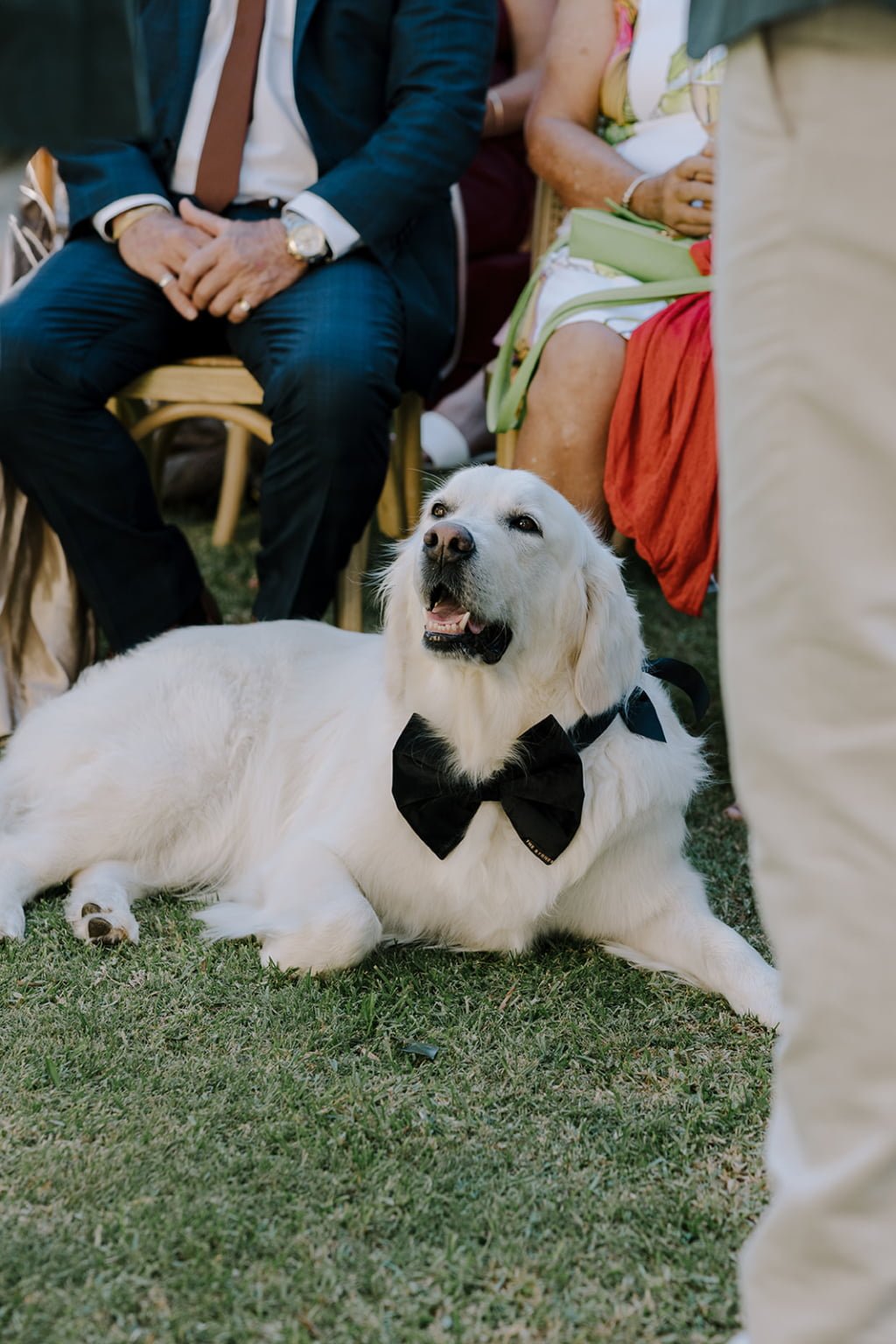 MEL & HARRY’S WESTERN AUSTRALIA WEDDING – Hello May
