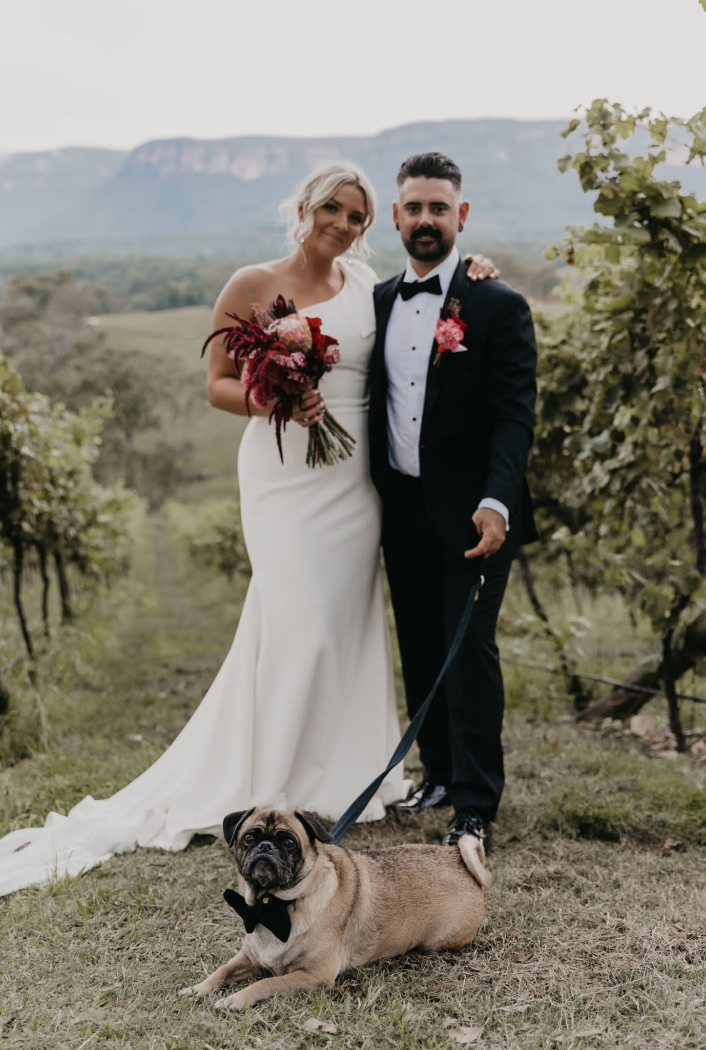 THE CUTEST PETS AT WEDDINGS YOU EVER DID SEE - Hello May