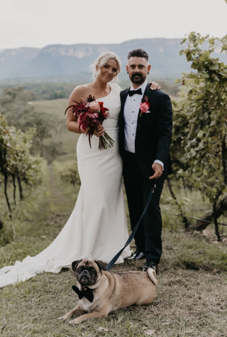 THE CUTEST PETS AT WEDDINGS YOU EVER DID SEE - Hello May