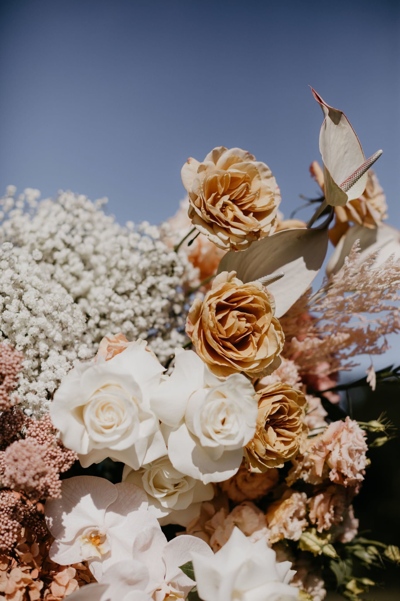 Gold Coast Just Peachy Wedding Inspo - Hello May