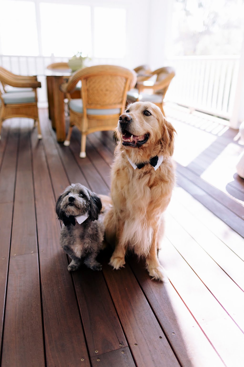 GEMMA & ROB'S PERTH WEDDING - Hello May