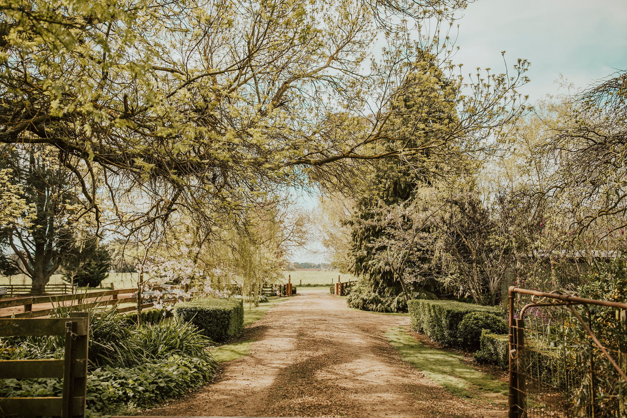 AMY & JAMES’ DAYLESFORD WEDDING – Hello May