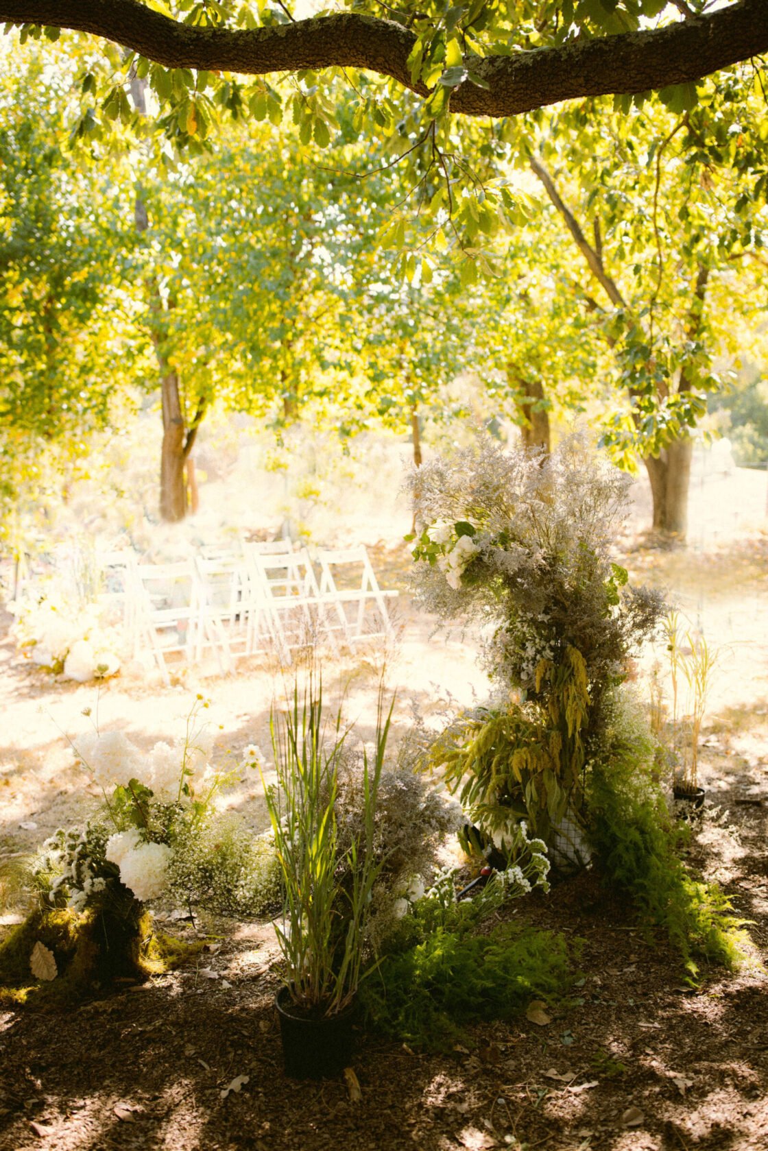 Heide Museum Wedding: Michelle & Aaron - Hello May