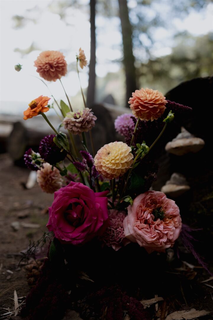Meg & Josh’s Wedding in Ontario | A Canadian–Aussie Love Story