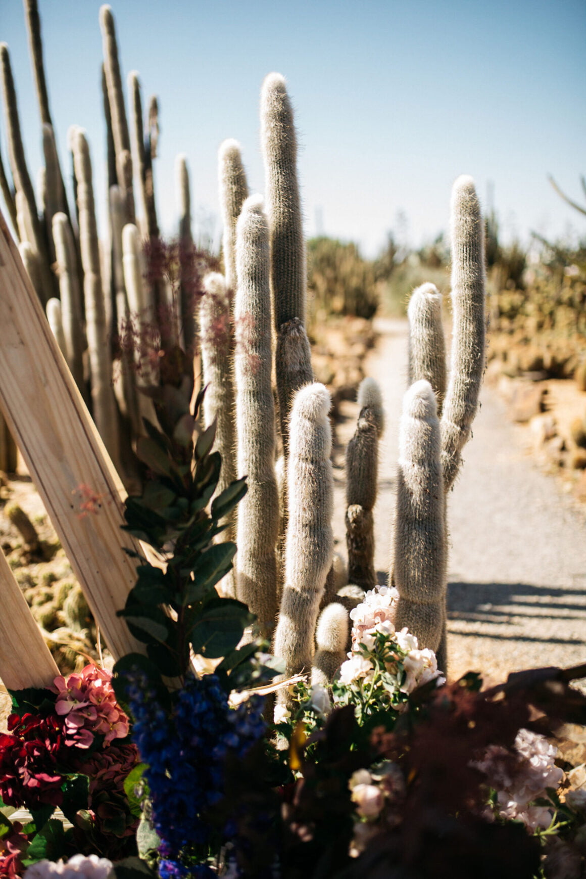 ANGE & RYAN’S MELBOURNE WEDDING – Hello May