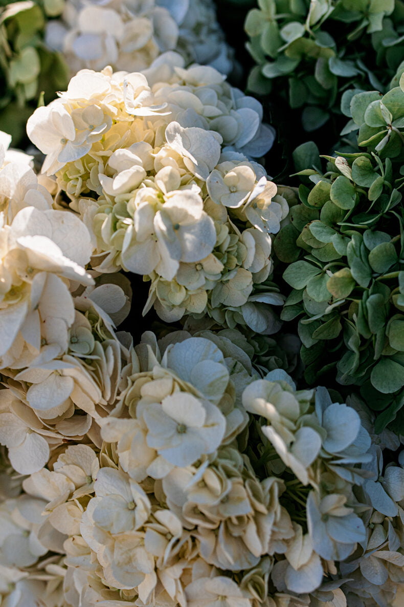 KAYLA & DAVID’S VICTORIAN WEDDING – Hello May