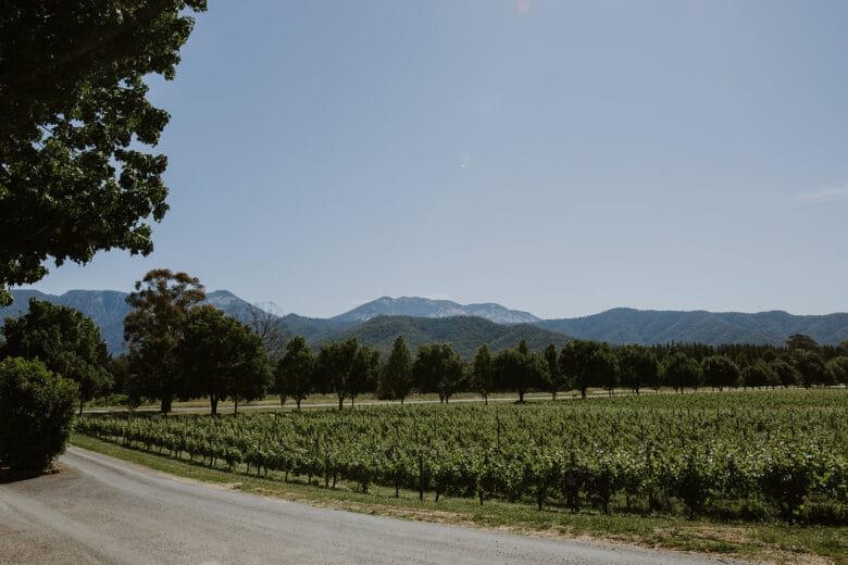 Best Vineyard Wedding Venues in Australia & New Zealand