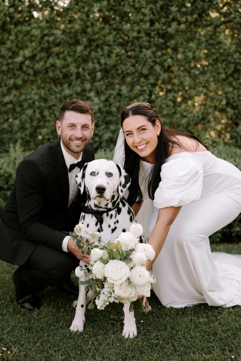 DOGS AT WEDDINGS - Hello May