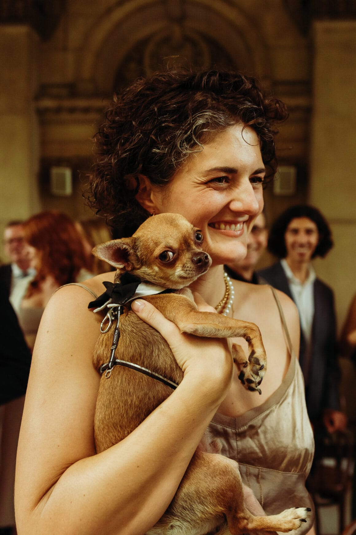 DOGS AT WEDDINGS - Hello May