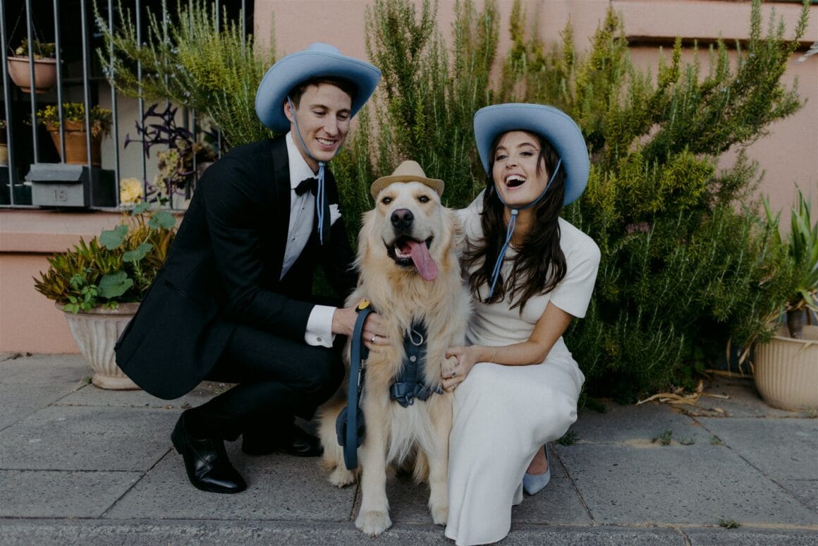 DOGS AT WEDDINGS - Hello May