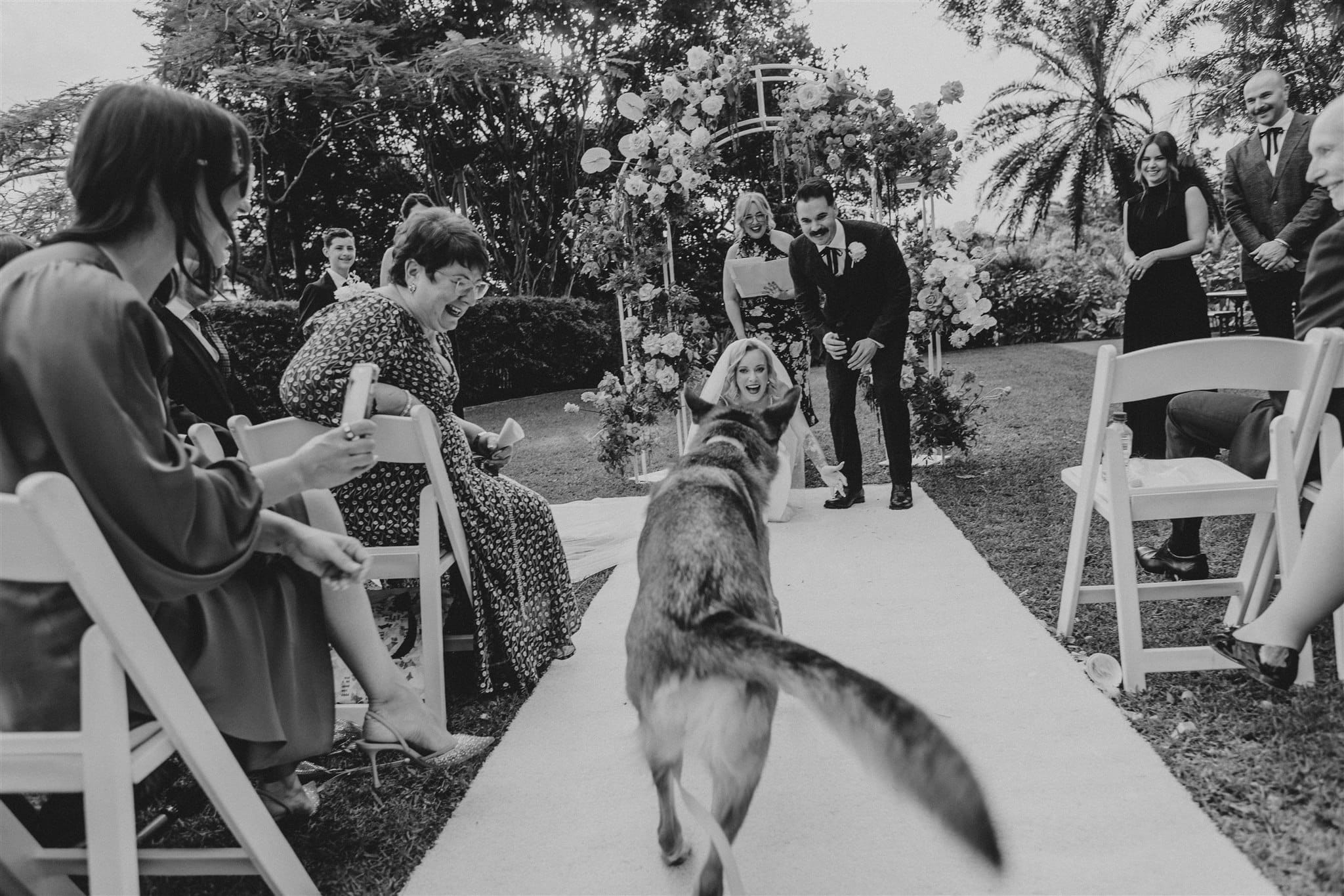 Rock 'n' Roll Brisbane Wedding - Amie & Timmy - Hello May