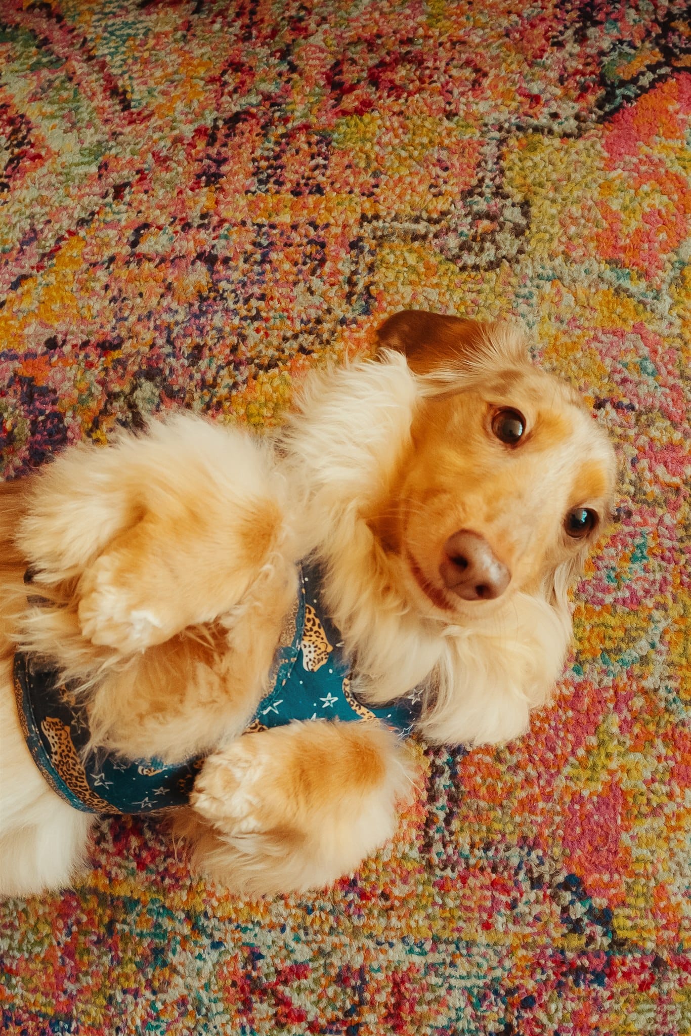 Ruby & Daniel's Fitzroy wedding - Hello May