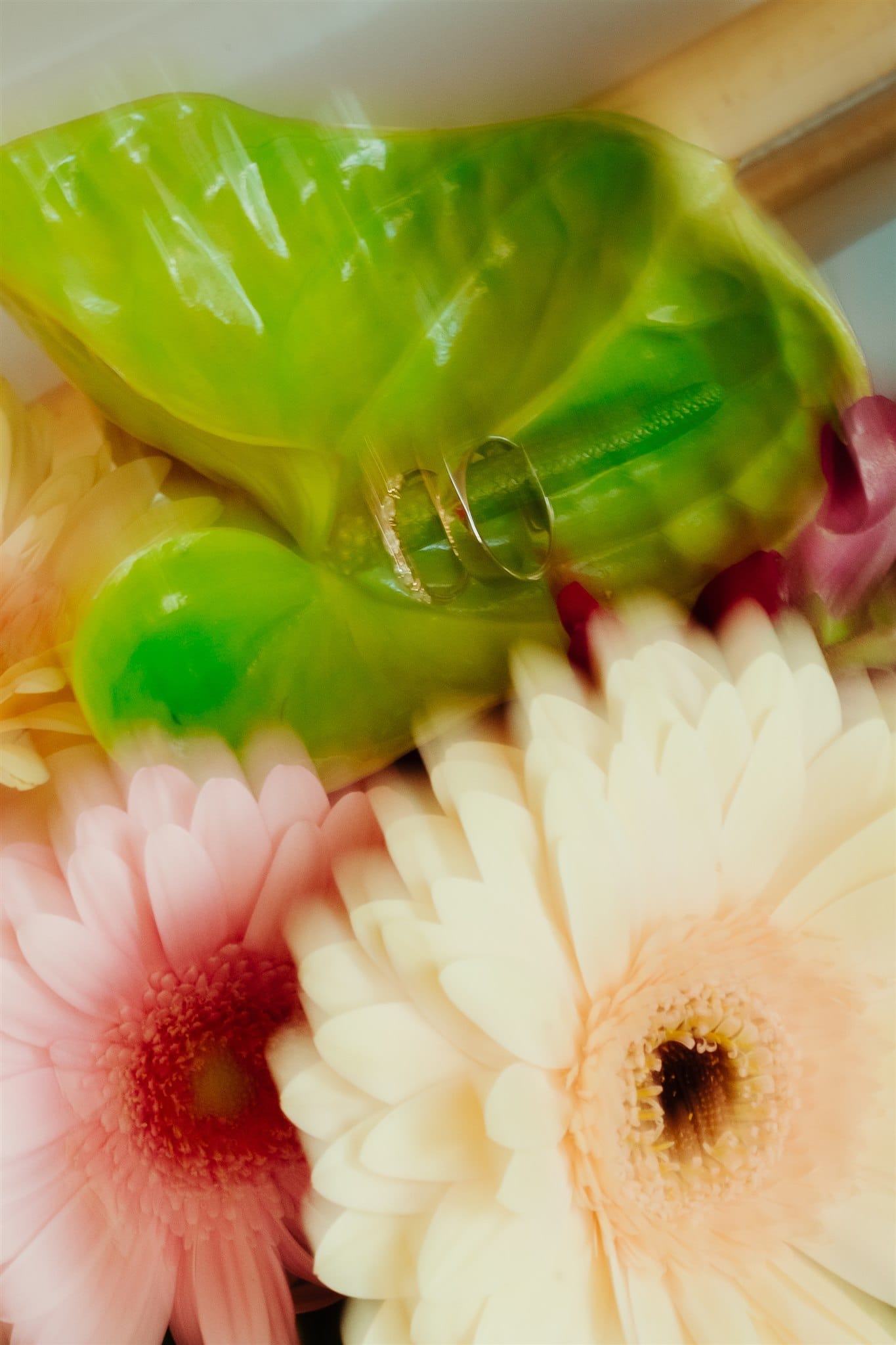 Ruby & Daniel's Fitzroy wedding - Hello May