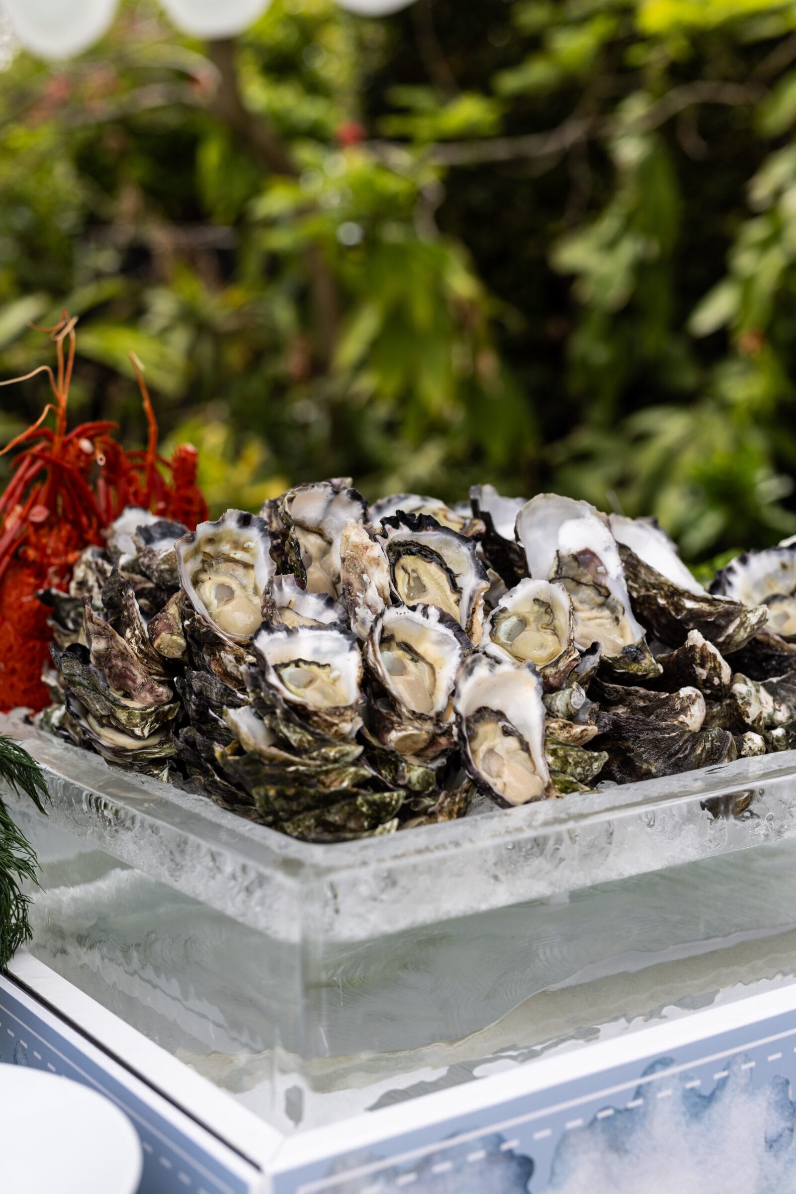 The Blonde Butler | Wedding catering Sydney | Hello May